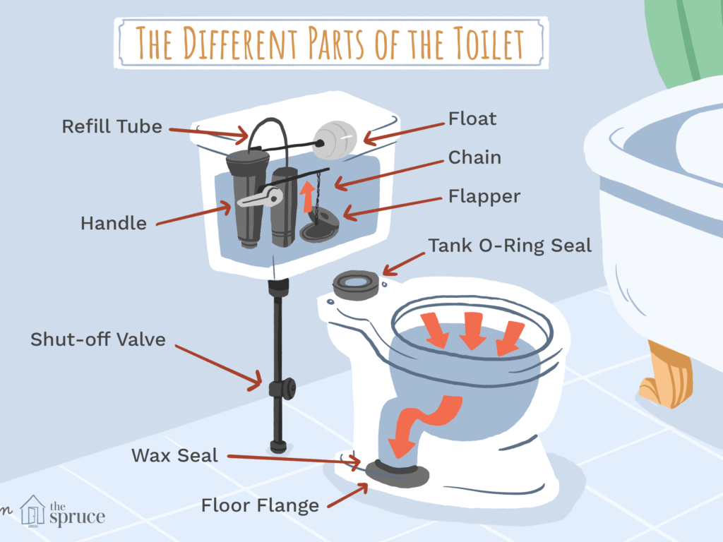 Toilet Parts and How It Works ( Detailed Diagrams)
