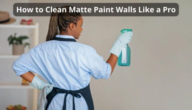 How to clean matte paint walls? Easy Best Steps
