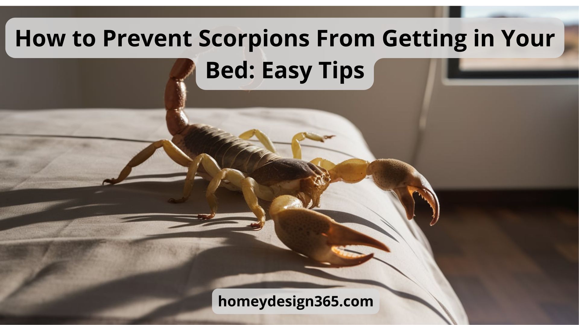 How To Prevent Scorpions From Getting In Your Bed Tips