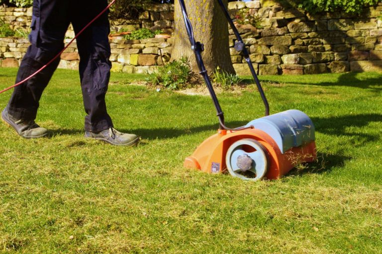 What Does a Scarifier Do? Guide to Scarifiers and Functions