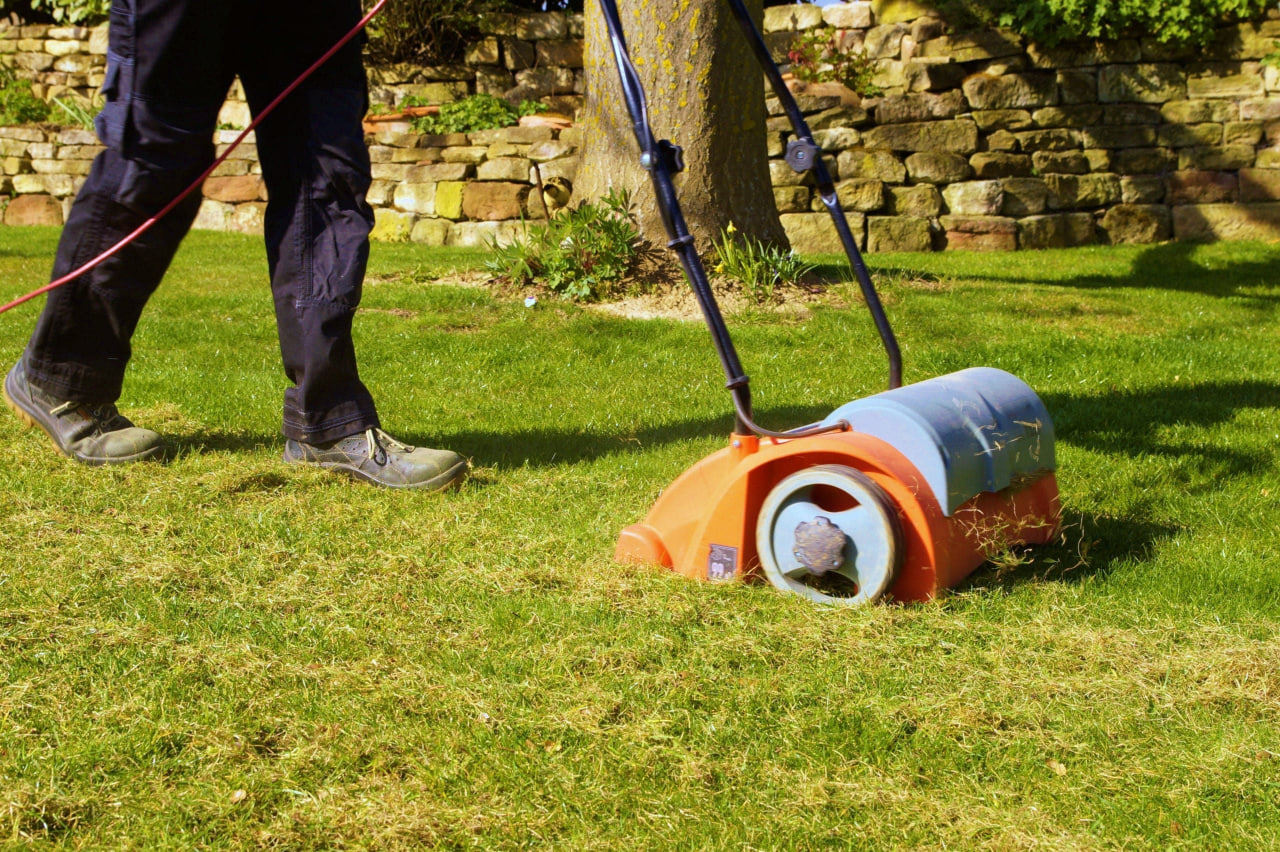 What Does a Scarifier Do? Guide to Scarifiers and Functions